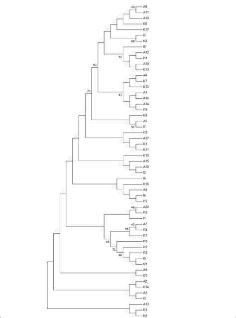 maximum likelihood tree from the complete nucleotide dataset coi