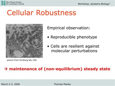 Ppt Robustness And Entropy Of Biological Networks Powerpoint Presentation Id5189873
