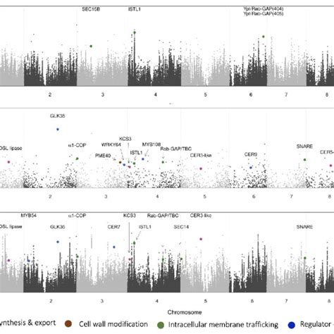 manhattan plot of results from a haplotype based association analysis