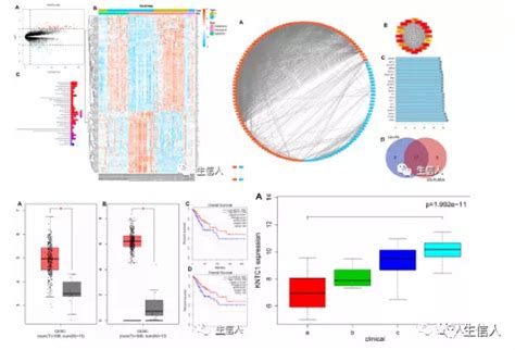通过公开数据库挖掘，差异分析，富集分析，ppi筛选核心基因