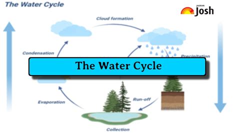 Water Cycle Process Stages And Diagram