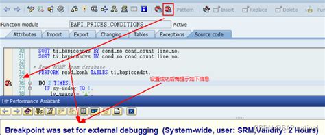 sap 外部断点 sap 如何给别的账户设置断点 csdn博客