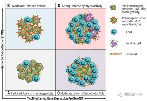 上海懿贝瑞：泛肿瘤分子联合检测可以更好地预判pd 1抗体用于肿瘤患者的疗效 知乎