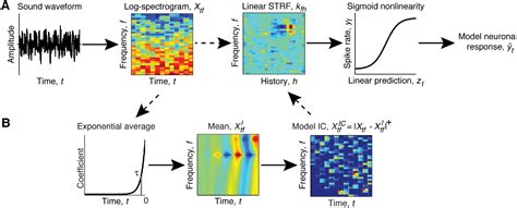 Figure 1 From Incorporating Midbrain Adaptation To Mean Sound Level
