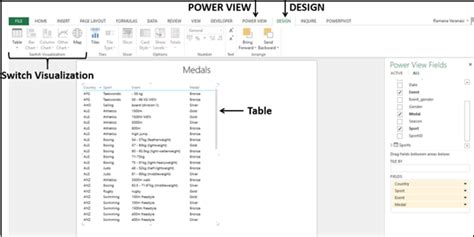 Excel Power View Visualizations