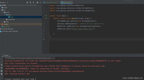 selenium java环境搭建