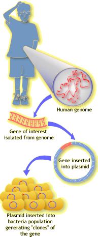 Cloning Clone Mysteries Zone