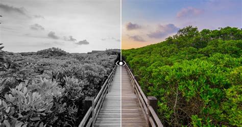 wordpress image before after plugin code canel