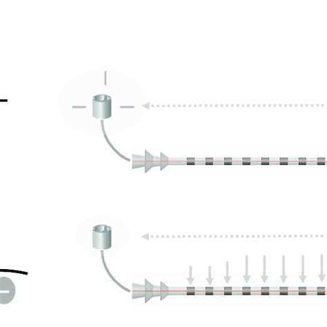 Schematic Representation Of Different Stimulation Patterns Used In This Download Scientific