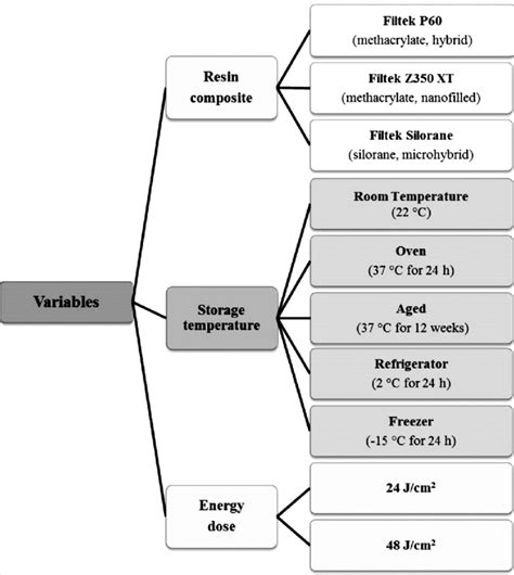Schematic Representation Of The Experimental Design Download