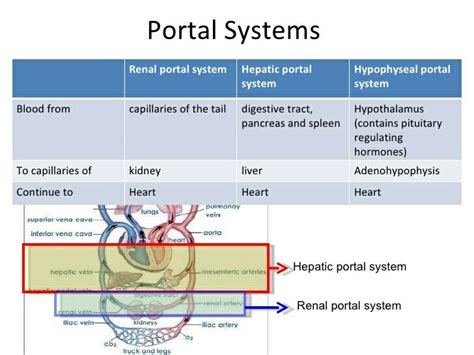 Hmis Portal
