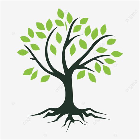 Tree Vector Illustrations Roots Mangrove Isolated Mangrove Tree Tree Roots Png And Vector