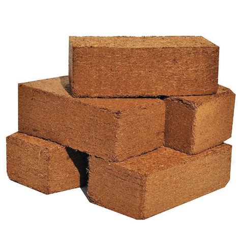 Cocopeat - High Quality Growing Medium, 100% Eco-friendly