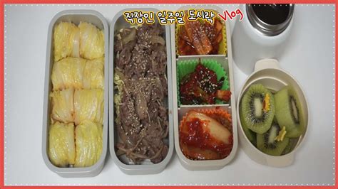 추운 겨울 따끈한 일주일 직장인 도시락 싸기 🍱 한달식비10만원 점심 도시락 만들기🥢배추쌈밥소불고기소고기초밥배추찜콩나물밥치킨마요덮밥비빔밥 Youtube