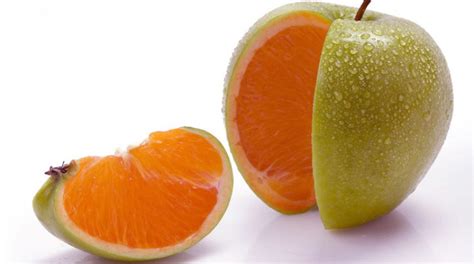 Acceptance Testing Qatestlab Blog