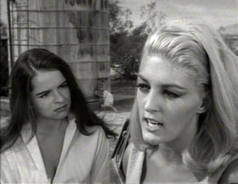 Faster Pussycat Kill Kill Meyer