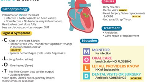 Chapt 36 Ineffective Endocarditis Pericarditis Valvular Heart Disease