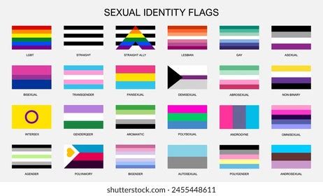 Sexual Diversity Lgbt Pride Flags Rainbow Stock Vector Royalty Free 2455448611 Shutterstock