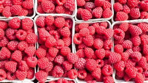 Без договора о откупној цени малине Произвођачи незадовољни ценом од 200 динара — Rt Balkan