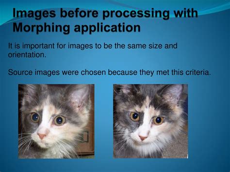 ppt fpga based hardware emulation of image morphing final