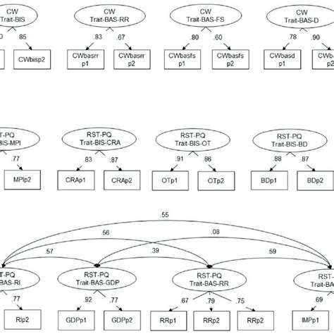 standardized factor loadings stdyx of the bifactor mimic model of the