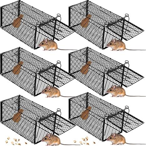 Amazon.com : Qualirey 6 Pcs Humane Rat Trap Small Chipmunk Mouse Squirrel Cage Rodent Animal ...