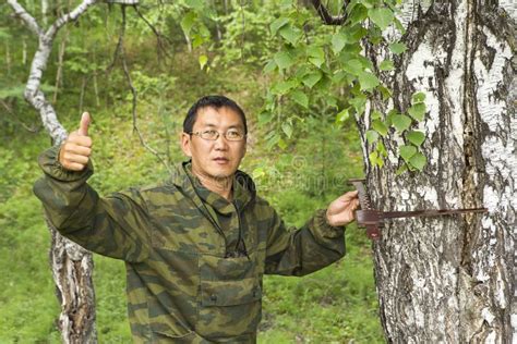 Measuring The Diameter Of A Tree Stock Photo Image Of Forest Forester