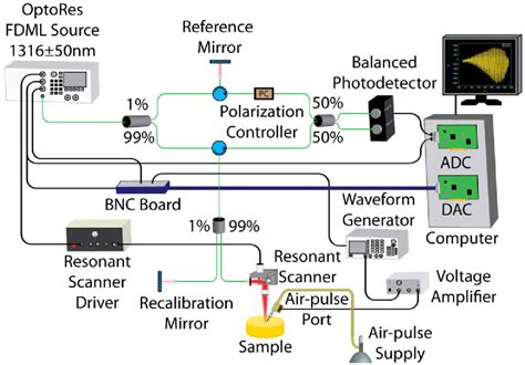 Figure 1 From Phase Sensitive Optical Coherence Elastography At 1 5 Million A Lines Per Second