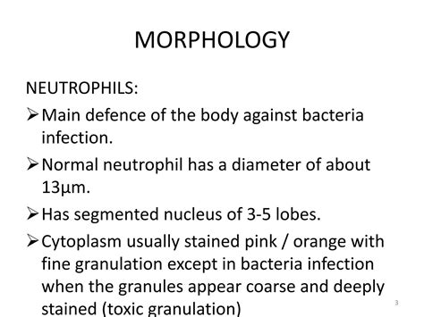 Solution White Blood Cell Morphology Functions Quatitative And