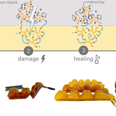 Self Healing Soft Sensors Are Embedded In A Soft Self Healing Gripper Download Scientific