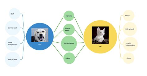 Mind Maps And Thinking Maps A Guide To Boost Your Brainpower Xmind Blog