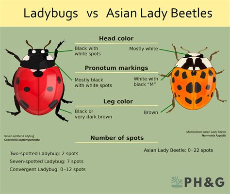 Climate Studio Vs Ladybug At Fernando Smith Blog