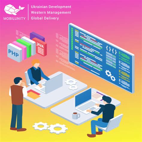 Software Development Team Structure Set Up Mobilunity