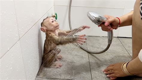 Funny Katy Happily Playing Water Shower During Mom Bathing Her Shower Water Funny Katy