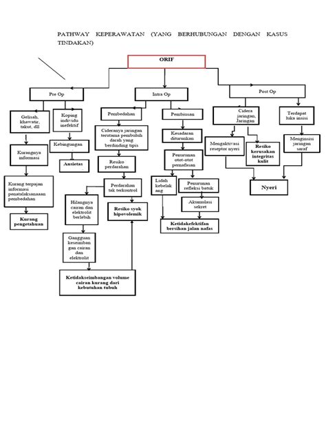 Pathway Orif Pdf