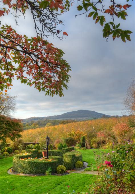 Pear Tree Cottage Garden Leaf Colours And Leaf Collecting