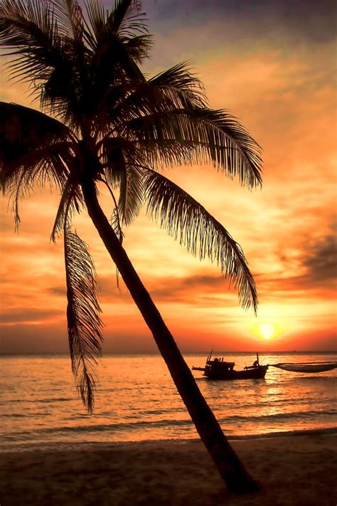 Phu Quoc Sunset Vietnam Cambodja Vakantie
