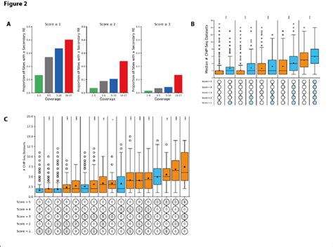 Multiple Response Elements Increase Likelihood Of P53 Occupancy A Download Scientific