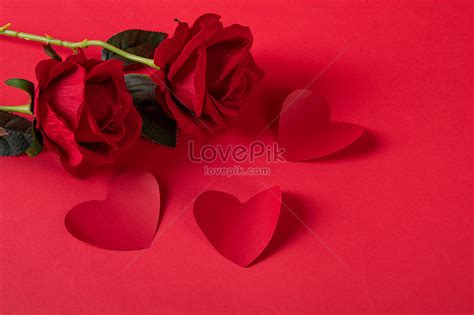 발렌타인 데이 장미 사진 무료 다운로드 Lovepik