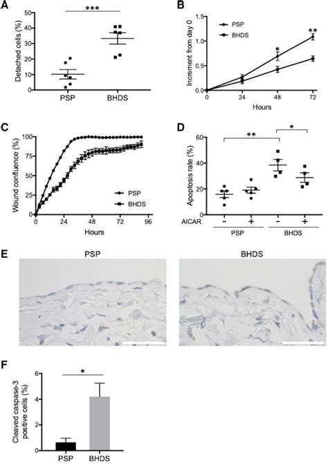 Comparison Of Cellular Characteristics Between Psp And Bhds Pmcs A Comparison Of Cellular Characteristics Between Psp And Bhds Pmcs A