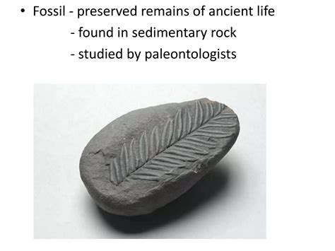 Radiometric Dating Ppt Free Download