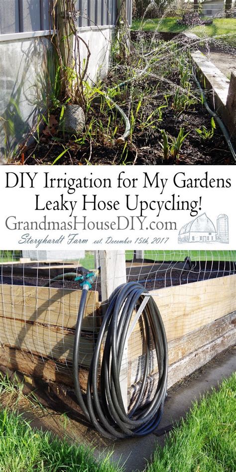 DIY Irrigation For My Gardens Leaky Hose Upcycling