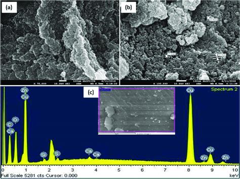 RETRACTED ARTICLE Suppressor Capacity Of Copper