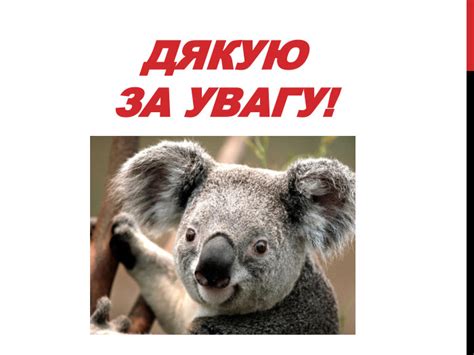 Презентація Їдальні у школах світу