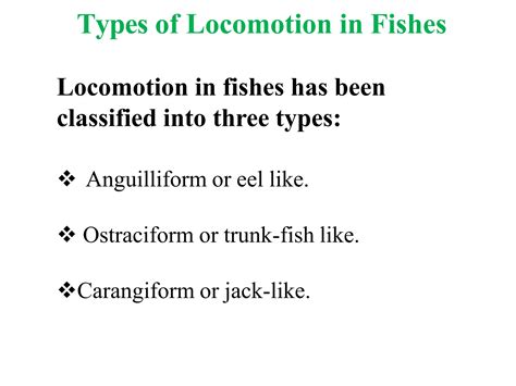 Locomotion In Fishes Has Been Classified Into Three Types Anguilliform
