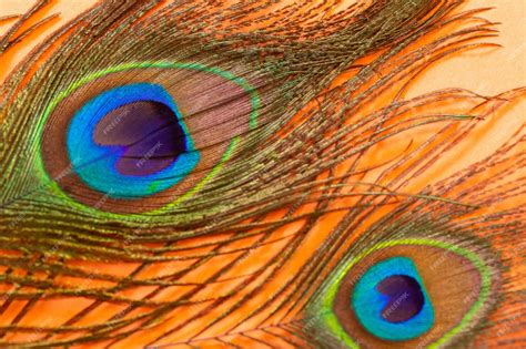 Premium Photo Peacock Feather On Pastel Color Paper Background Background