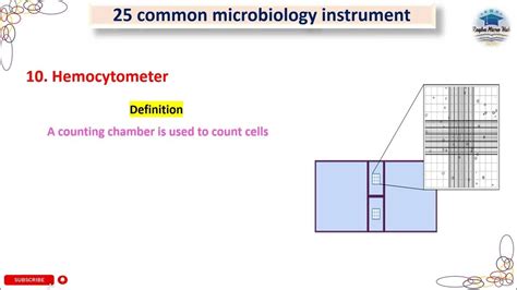 Hemocytometer 25 Common Microbiology Instrument Microbiology