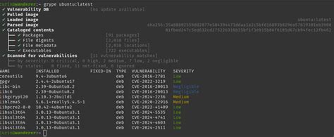 Open Source Vulnerability Scanners
