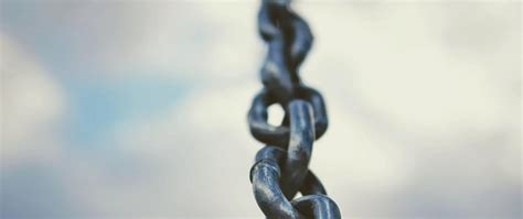 Using Local Npm Packages As Dependencies With Yalc Dev Community