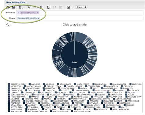 Ad Hoc View Dual Pie Chart Community Bi Support